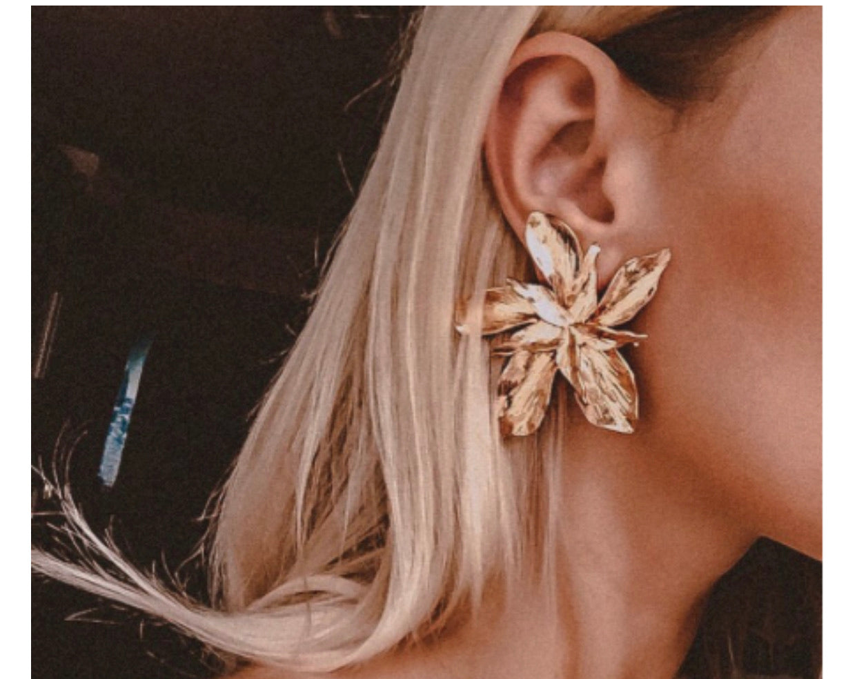 Earrings – Little Bird Designs